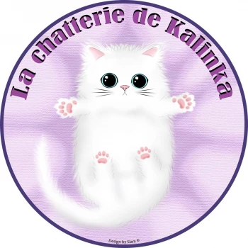 Accueil | Chatterie de Kalinka